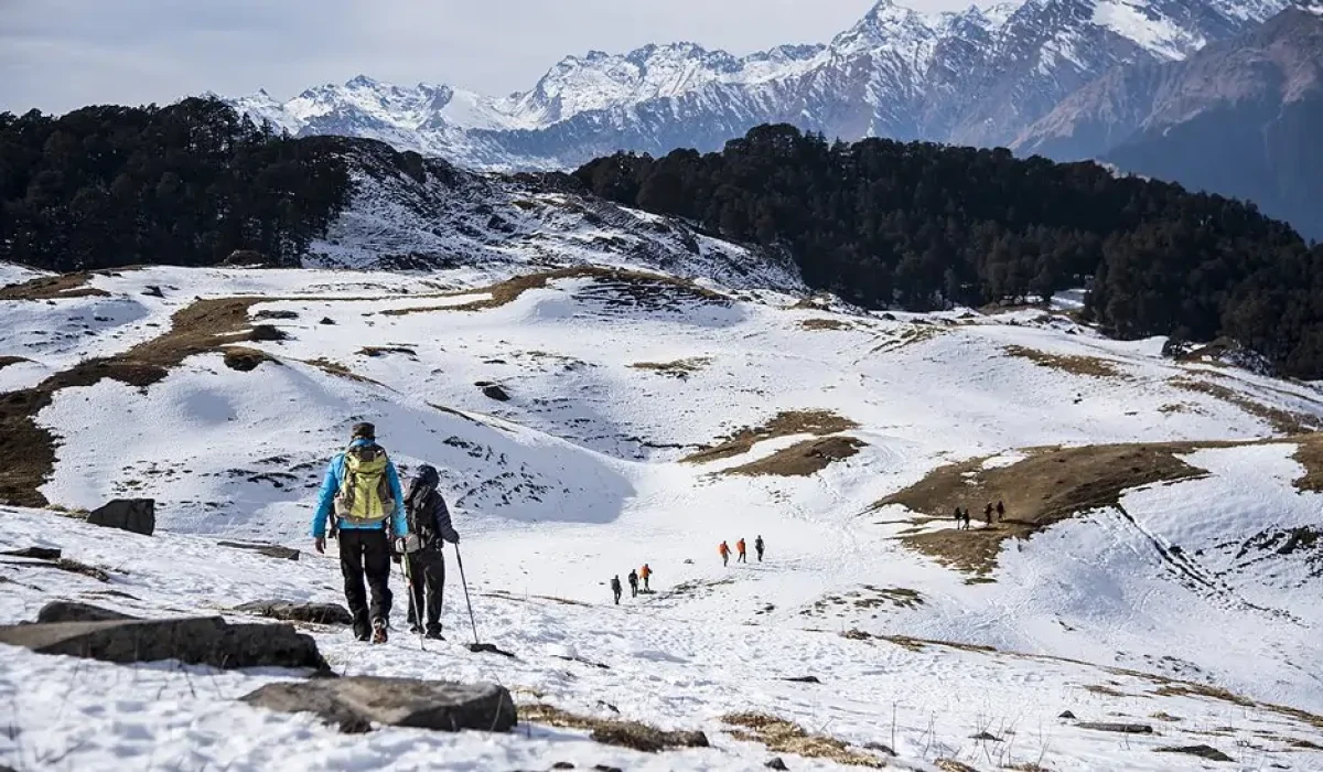 Kuari Pass Vs Kedarkantha: Which One Wins?